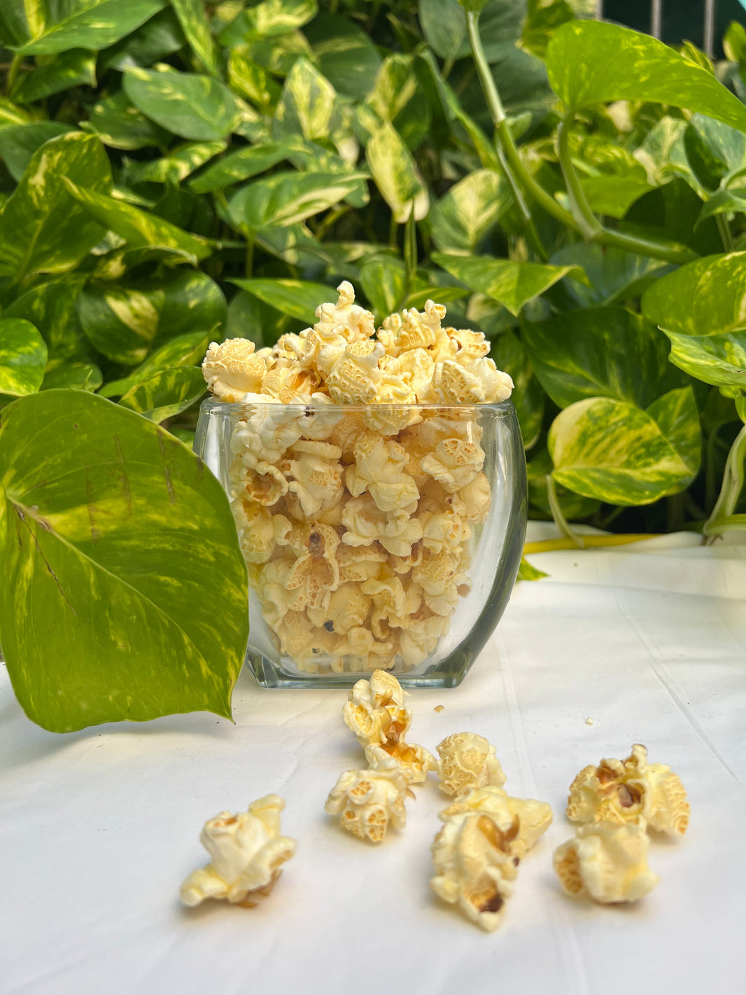 Products – L1 Iniki Popcorn